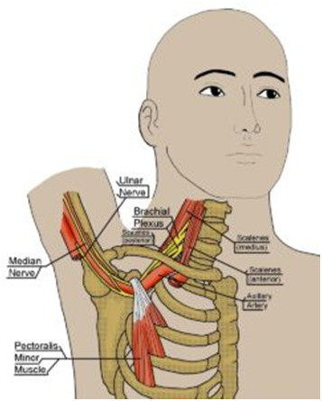 What Causes Carpal Tunnel Syndrome? - Health Tips From The Professor